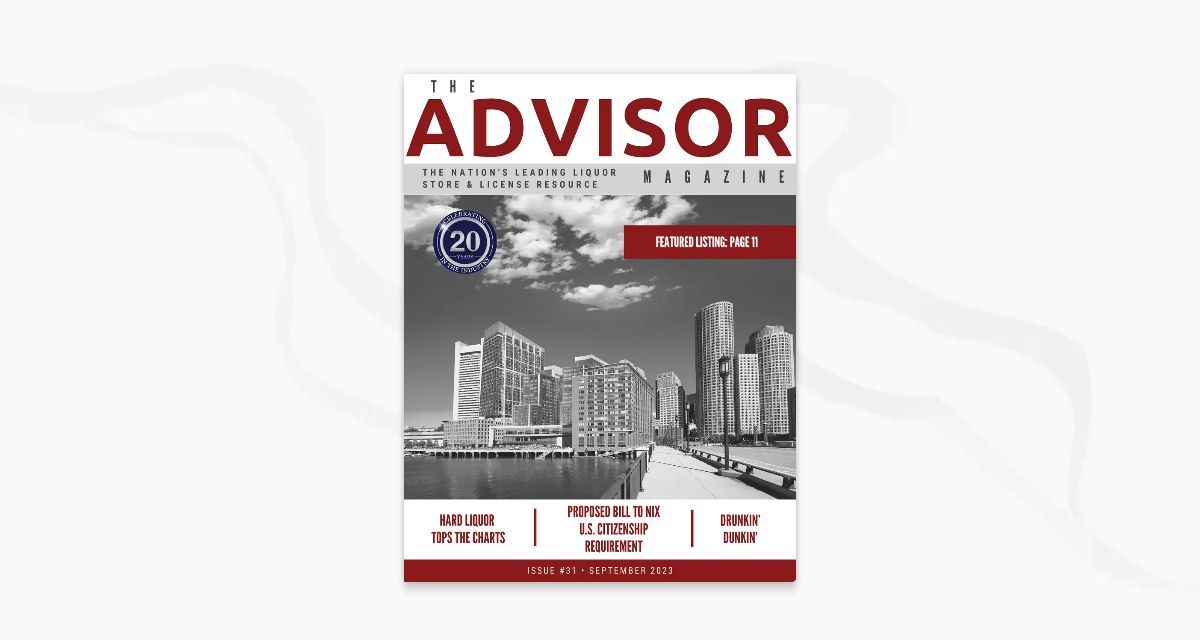 The Advisor - Issue #31 v1