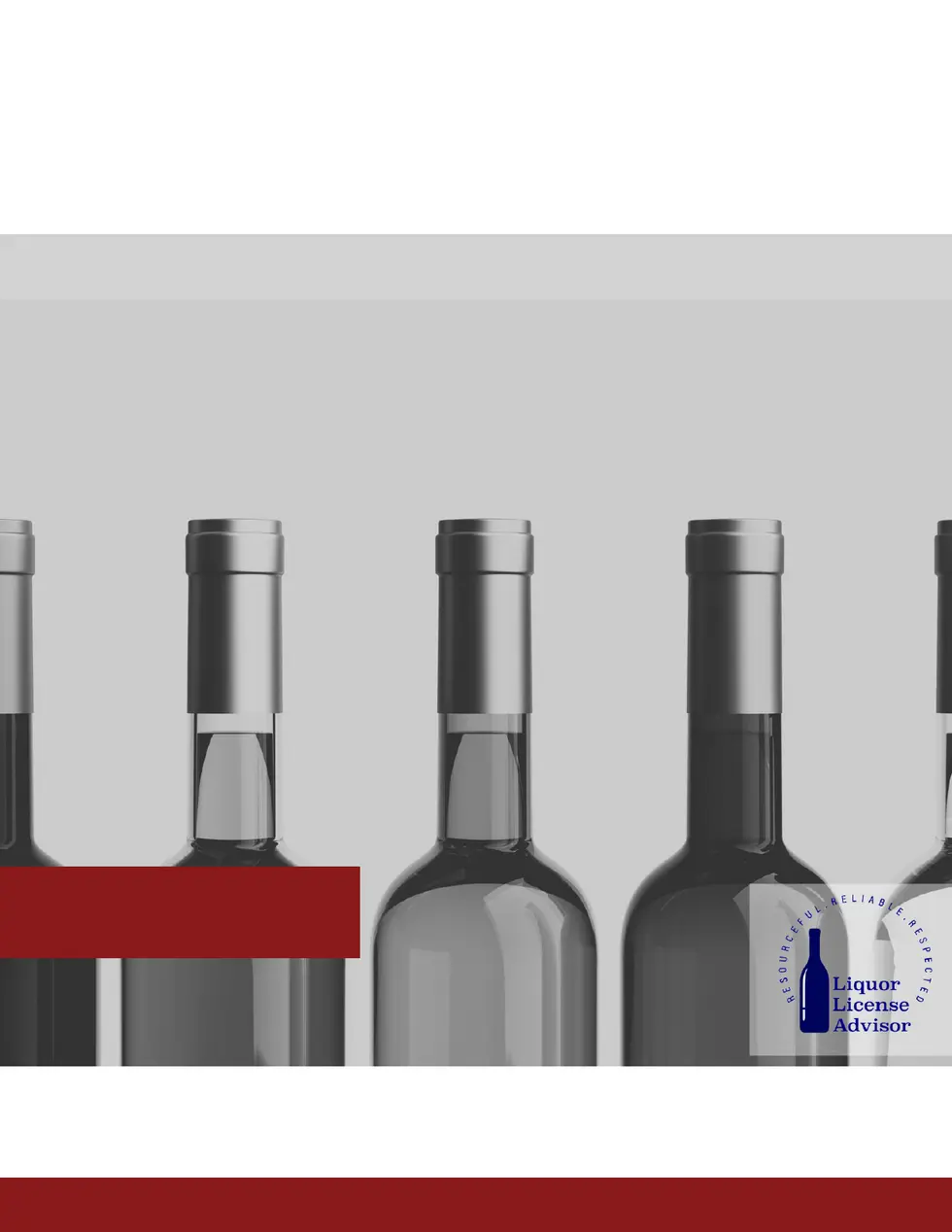 The Advisor - Issue #48